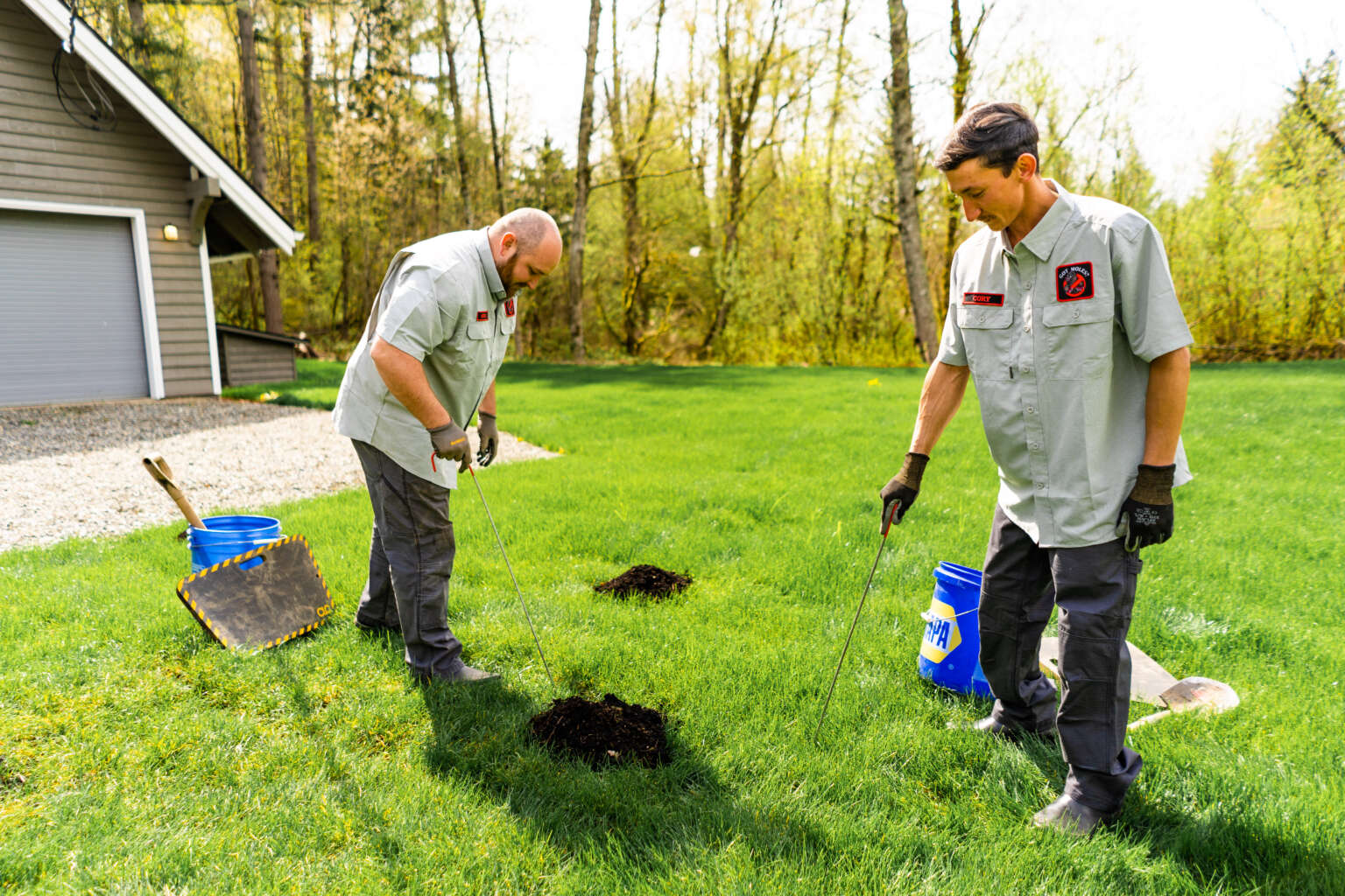 Mole Control Seattle | Mole Exterminator Seattle | Got Moles?