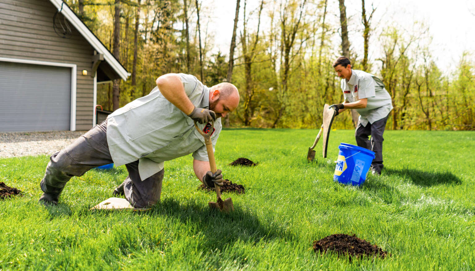 Mole Control Seattle | Mole Exterminator Seattle | Got Moles?