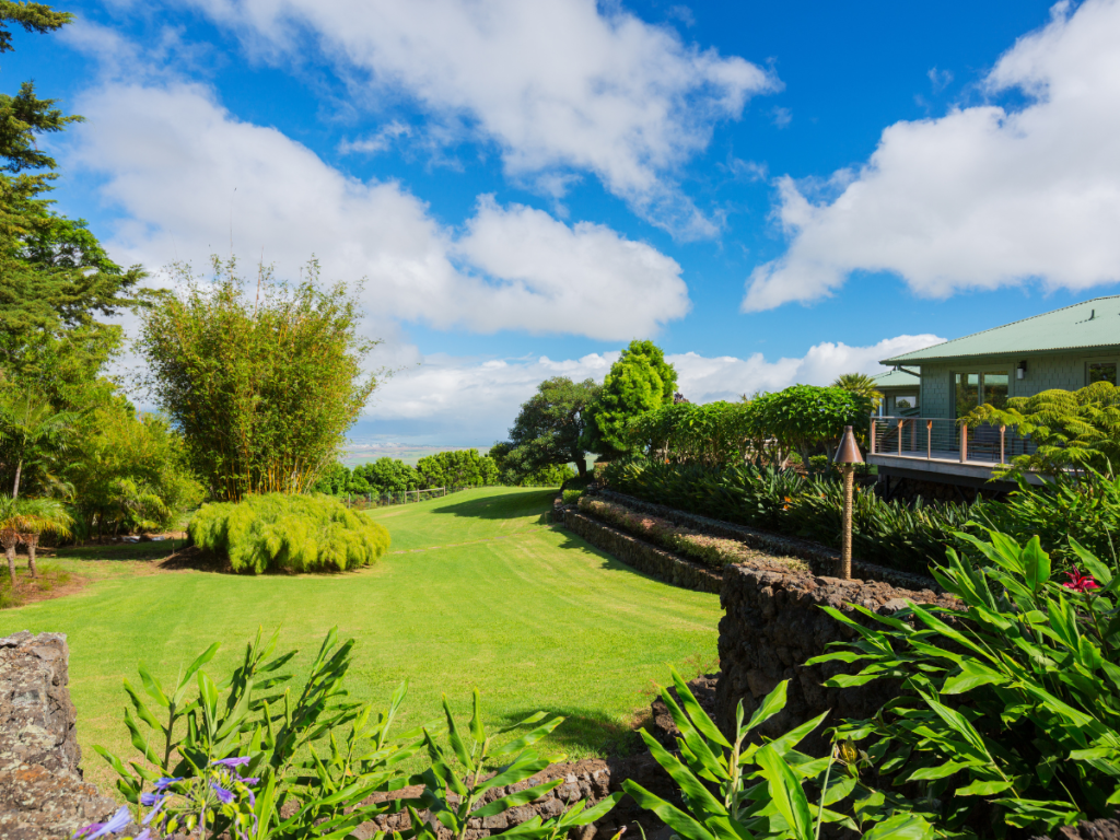 Mole Control Des Moines | Yard Mole Removal Des Moines | Mole Control ...